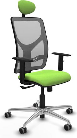 Piqueras y Crespo B&uuml;rostuhl mit 1D-Armen, h&ouml;henverstellbare Lendenwirbelst&uuml;tze und festes Kopfteil, ausgestattet mit 3 Positionen und Schneidschaum, Grau/Pistazie