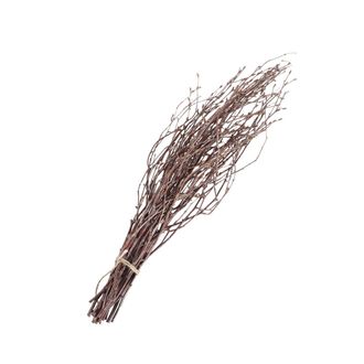 Cabilock 10st Lebensechte Pflanzenzweige Gef&auml;lschtes Pflanzenspray Birke in Vase K&uuml;nstliche Bl&auml;tter Spr&uuml;hen Birkenzweig Birkenzweige Birkenst&auml;bchen Hochzeit Pr