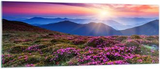 Arttor Panorama Bilder auf Glas Wiese Berg Himmel Landschaft Glasbild 140x50cm Wandbilder Dekoration Wohnzimmer Schlafzimmer Küche Groß XXL Wanddeko Bild im 