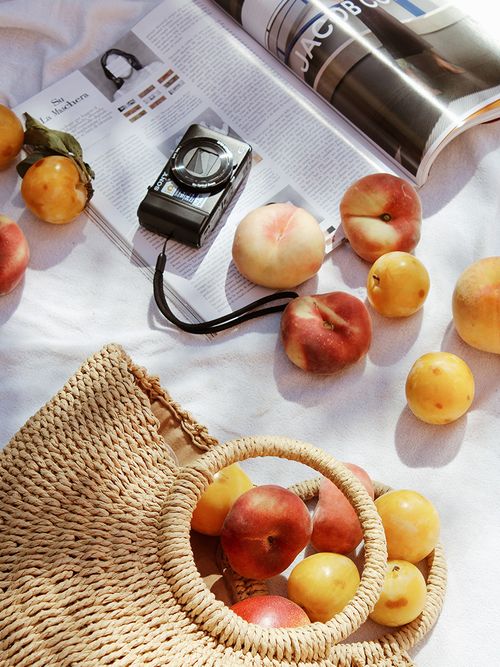 alimentation de saison