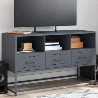 vidaXL vidaXL TV-Schrank Anthrazit 100,5x39x60,5 cm Stahl