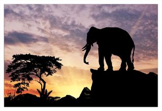 Wallario selbstklebendes Poster - Elefant vor Abendhimmel, Aufkleber in Premiumqualit&auml;t, Klebefolie Gr&ouml;&szlig;e: 61 x 91,5 cm (Maxiposter)