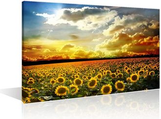 Generic Rustikale Bauernhof-Sonnenblumen-Wandkunst, Leinwanddruck, gerahmt, Sonnenblumenfeld, Sonnenuntergang, Bilder, moderne Heimdekoration f&uuml;r Wohnzimmer, 