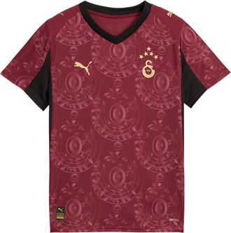 Puma Galatasaray Istanbul Trikot 3rd 2025/2026 rotbeige, XS Herren