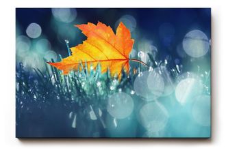 Paul Sinus Art Sinus Art Wandbild 60x40cm Einzelnes orangefarbenes Ahornblatt im feuchten Gras mit Tautropfen und Lichtpunkten