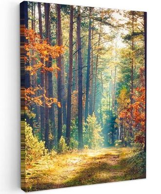 MuchoWow &copy; Impressions sur Toile 50x70 cm Deco Tableau Murale Decoration Salon Peinture Tableaux Chambre Toiles Maison For&ecirc;t - Soleil - Nature - Automne
