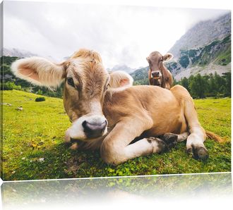 Pixxprint Almkuh in den Bergen, Größe: 100x70cm, Leinwandbild, fertig gespannt, Wandbild, Dekoration, Kunstdruck, kein Poster