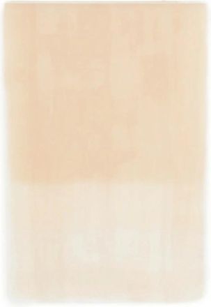 D'Aniello Femme, Accessoires, Beige, Taille: ONE Size Thor 7045 1 Stole