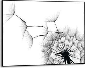 Reinders Gerahmtes Bild, Pusteblume II, Schlafzimmer, Bilder, Wanddeko, Room Decor, MDF, Schwarz-Wei&szlig;, 50 x 70