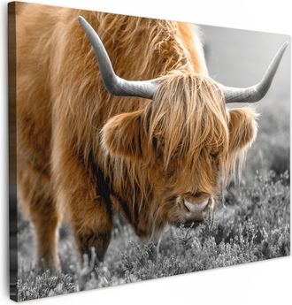 MuchoWow © Leinwand Bilder 80x60 cm Wanddeko Wohnzimmer Aesthetic Room Decor Deko Zimmer Wandbilder Modern Fotogeschenke Schottisches Hochlandrind - Highland C