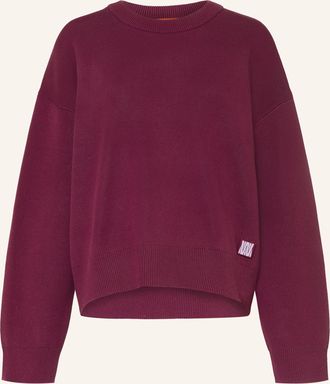 Worst Behavior Wrstbhvr Pullover Garm rot