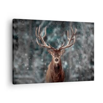 Arttor Bilder auf Leinwand Hirsch Hirsch Winter Leinwandbild mit Rahmen 70x50cm Wandbilder Dekoration Wohnzimmer Schlafzimmer Küche Deko Klein Wanddeko Bild 