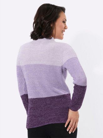 Witt Strickpullover Stehkragen-Pullover Langarm
