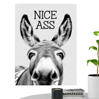 Generic Lustige Tierwandkunst - Dekorbilder Im Bauernhof Stil Humorvolle Tiermotive, Badezimmerposter Dekoration, Hochwertiger Druck, Langlebiges Kartondesign