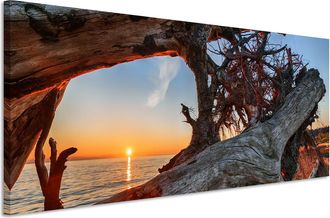 Paul Sinus Art Panoramabild 150x50cm Naturfotografie - Treibholz am Strand bei Sonnenaufgang auf Leinwand exklusives Wandbild moderne Fotografie für ihre Wand in vie
