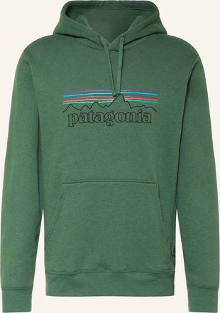 Patagonia Hoodie P-6 gruen