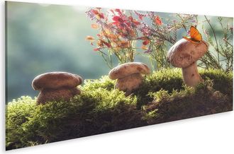 Islandburner Bild auf Leinwand Herbst Stillleben Pilze Wald Kunst Fotografie Natur Blumen Wandbilder Poster Bilder Wandbilder Poster BYQP-Pano