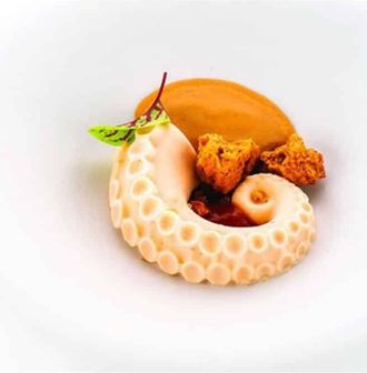 Silikomart Naturae Polpo 20 Stampo in Silicone 12 cavità Tentacoli