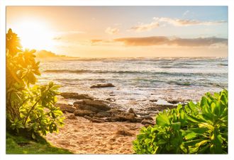Wallario selbstklebendes Poster - Strand im Morgenlicht, Aufkleber in Premiumqualit&auml;t, Klebefolie Gr&ouml;&szlig;e: 61 x 91,5 cm (Maxiposter)
