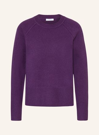 Hobb's Pullover Mandy Aus Merinowolle lila
