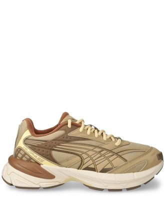 Puma baskets Velophasis Earth - Marron