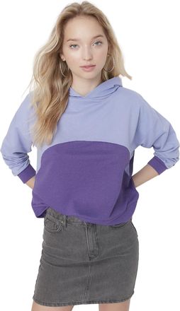 Trendyol Trendyol Damen Hood Colorblock Regular Sweatshirt, Lila, XL, violett, 46