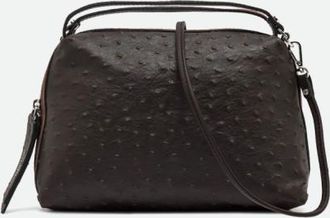 Gianni Chiarini ALIFA