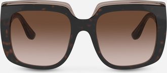 Dolce & Gabbana Capri Sunglasses - Frau Havanna Onesize