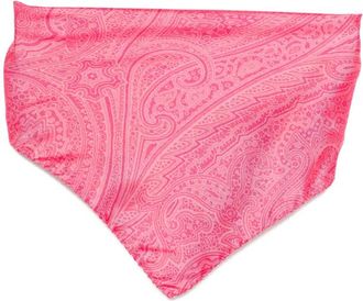 Etro Paisley-print Hair Accessory