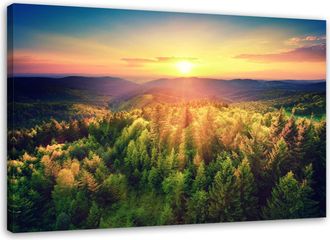 Feeby Wandbild - 1 Teilig - 80x120 cm, Leinwand Bild Leinwandbilder Bilder Wandbilder Kunstdruck, SONNENUNTERGANG, WALD, NATUR, GRÜN, GELB