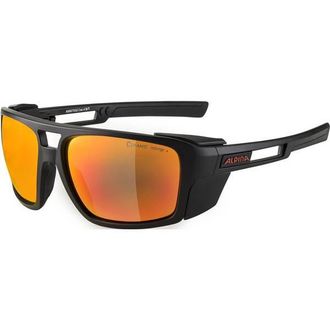 Alpina Herren Brille ALPINA SKYWALSH