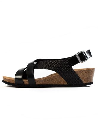 Bayton Sandale Lucena