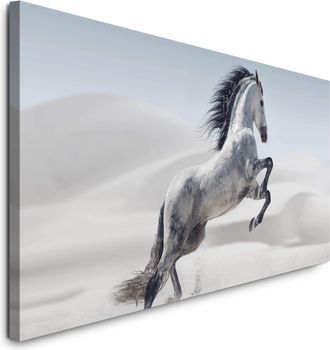 Paul Sinus Art GmbH Weißes Pferd 120x 50cm Panorama Leinwand Bild XXL Format Wandbilder Wohnzimmer Wohnung Deko Kunstdrucke