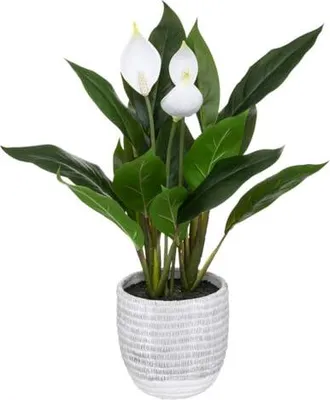 Atmosphera Atmosphera - Lys Artificiel H54 cm