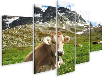 Islandburner Bild auf Leinwand Milck Kuh Mit Beweidung Auf Schweiz Alpine Berge Grünem Gras Weide Über Blauen Himmel Wandbild Poster Kunstdruck Bilder