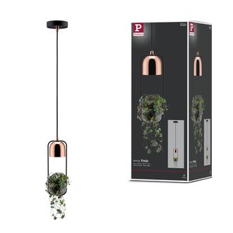 Paulmann 79749 Pendelleuchte Fanja Pflanzenleuchte max. 20 Watt H&auml;ngelampe Schwarz, Kupfer Metall GU10 ohne Leuchtmittel