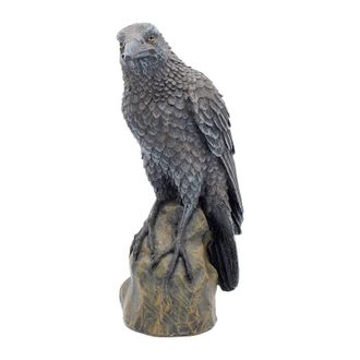 Nemesis Now Ravens Rest Figur, 20 cm, Schwarz
