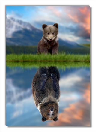 Wallario selbstklebendes Poster - Zukunftsaussichten, Aufkleber in Premiumqualit&auml;t, Klebefolie Gr&ouml;&szlig;e: 70 x 100 cm (Riesenposter)