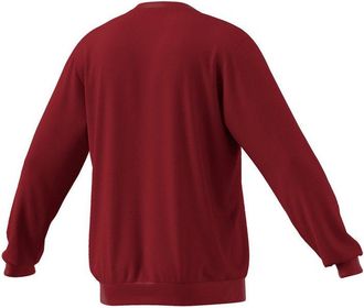 adidas Performance Sweatshirt adidas Performance Entrada 26 Sweatshirt Herren Baumwolle