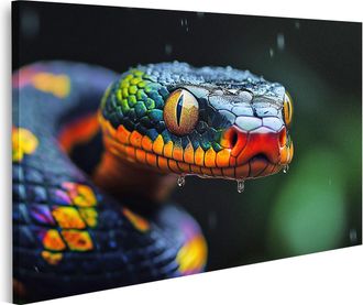 Islandburner Bild auf Leinwand Bunte Schlange im Regen Nahaufnahme Bilder Wandbilder Poster