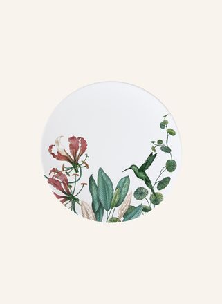 Villeroy & Boch Speiseteller Avarua weiss
