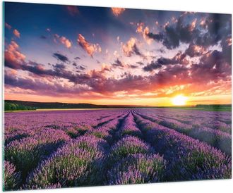 Arttor Bilder auf Glas 100x70cm Glasbild Lavendel Berge Feld Groß Wanddeko Bild im Glas Schlafzimmer Küche Deko Wandbilder Dekoration Wohnzimmer Modern Wall 