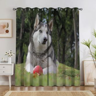 Generic Verdunkelungsvorhang Charmant Thermovorhang K&auml;lteschutz Husky Blickdicht &Ouml;senschal f&uuml;r Gardinen Wohnzimmer & Schlafzimmer H 137 x B 140 cm 2er Set b97