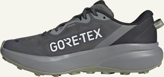 ADIDAS TERREX Adidas Terrex Terrex Tracefinder Plus Gore-Tex Trailrunning-Schuh grau