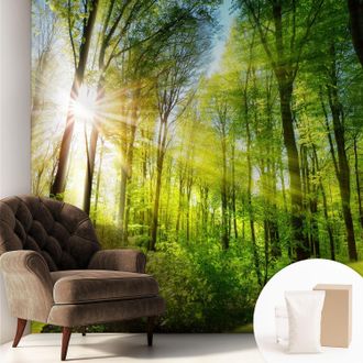 Tulup Carta Da Parati Non Tessuto - Di Alta Qualit&agrave; Per Il Soggiorno La Cucina - Tendenze Moderne - Vlies Ecologico Luce Di Formicaio 250x250 Cm