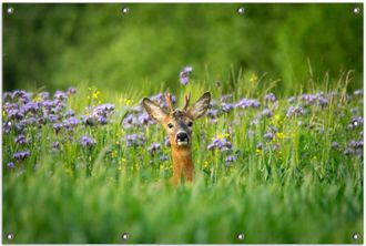 Wallario Outdoor-Poster f&uuml;r Garten oder Balkon Rehbock auf Wiese, Motivbanner Gr&ouml;&szlig;e: ca. 100 x 150 cm, Outdoor-Bild