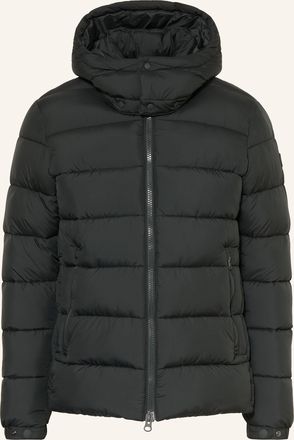 Save The Duck Save The Duck Steppjacke Boris Mit Abnehmbarer Kapuze gruen