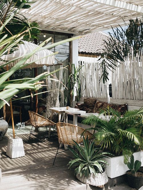 decoration terrasse tropicale