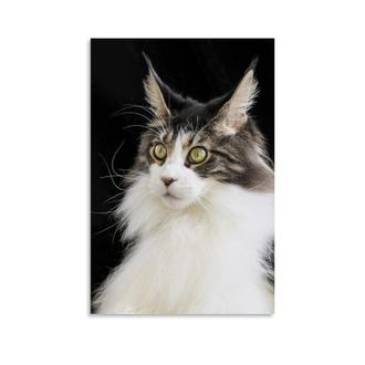 Generic Cute Maine Coon Cat Kunstwerk, Poster, Wandkunst, Gem&auml;lde, Leinwand, Geschenk, Wohnzimmer, Drucke, Schlafzimmer, Dekoration, Kunstwerke 20x30inch(50x7