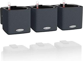 Lechuza CUBE Color Green Wall Home Kit schiefergrau 13399